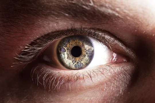 Conseil pour MJ – Laissez tomber les tests de Perception | Sandy Julien